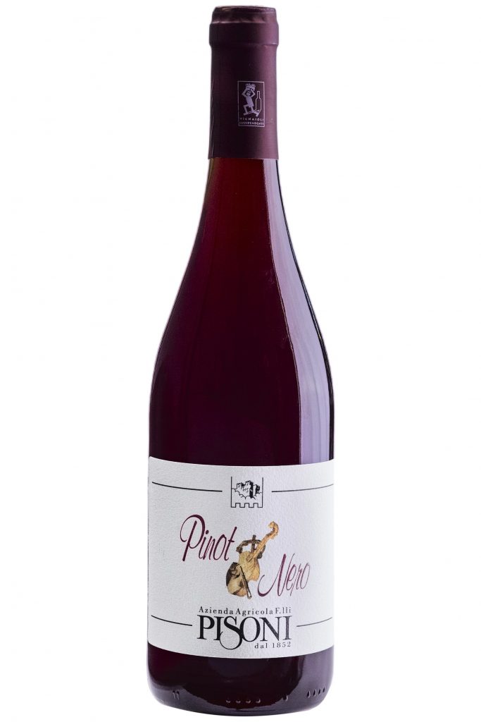 The red wines of the Pisoni winery: Maso Gobbo, Sarica and Rebo